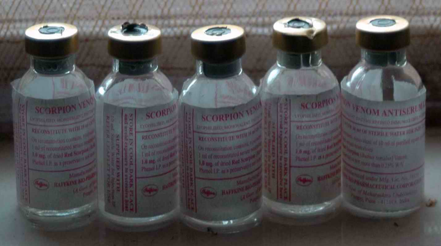 【antiserum】什么意思_英语antiserum的翻译_音标_读音_用法_例句_在线翻译_有道词典